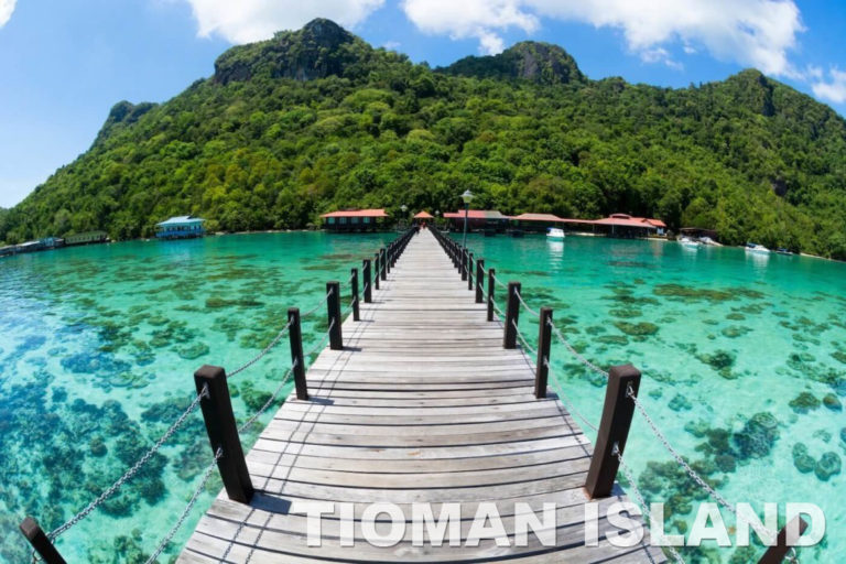 Booking Taxi from Singapore to Mersing Jetty (Tioman Island)